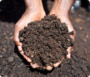 The Sanergy Collaborative Home